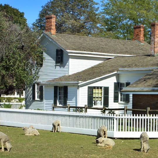 Must-See Highlights at The Henry Ford: History & Innovation